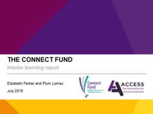 Connect Fund: Interim learning report - NPC